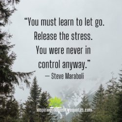 26 Inspirational Quotes On Letting Go. - Inspiring And Positive Quotes