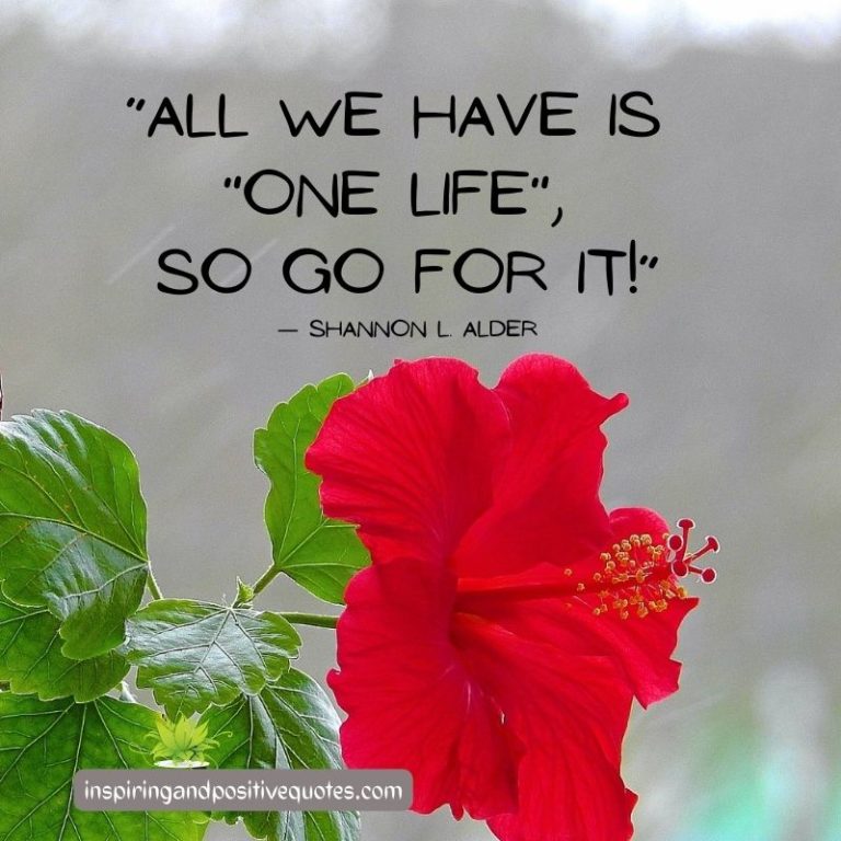 Loving Each Other Quotes - Inspiring And Positive Quotes