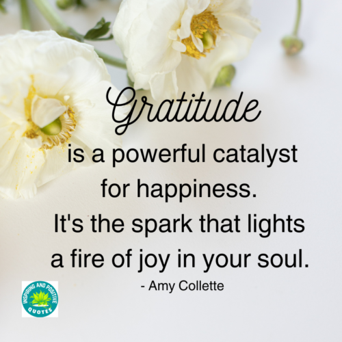 Finding Joy and Appreciation in Everyday Life - Inspiring And Positive ...