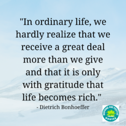 Finding Joy and Appreciation in Everyday Life - Inspiring And Positive ...